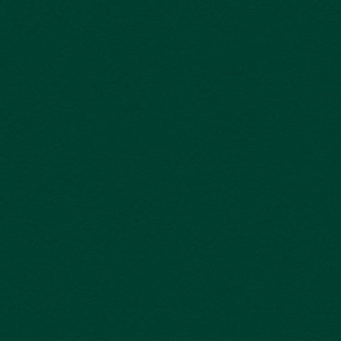 12X12 My Colors Cardstock - Hunter Green – Scrapp'n Savvy